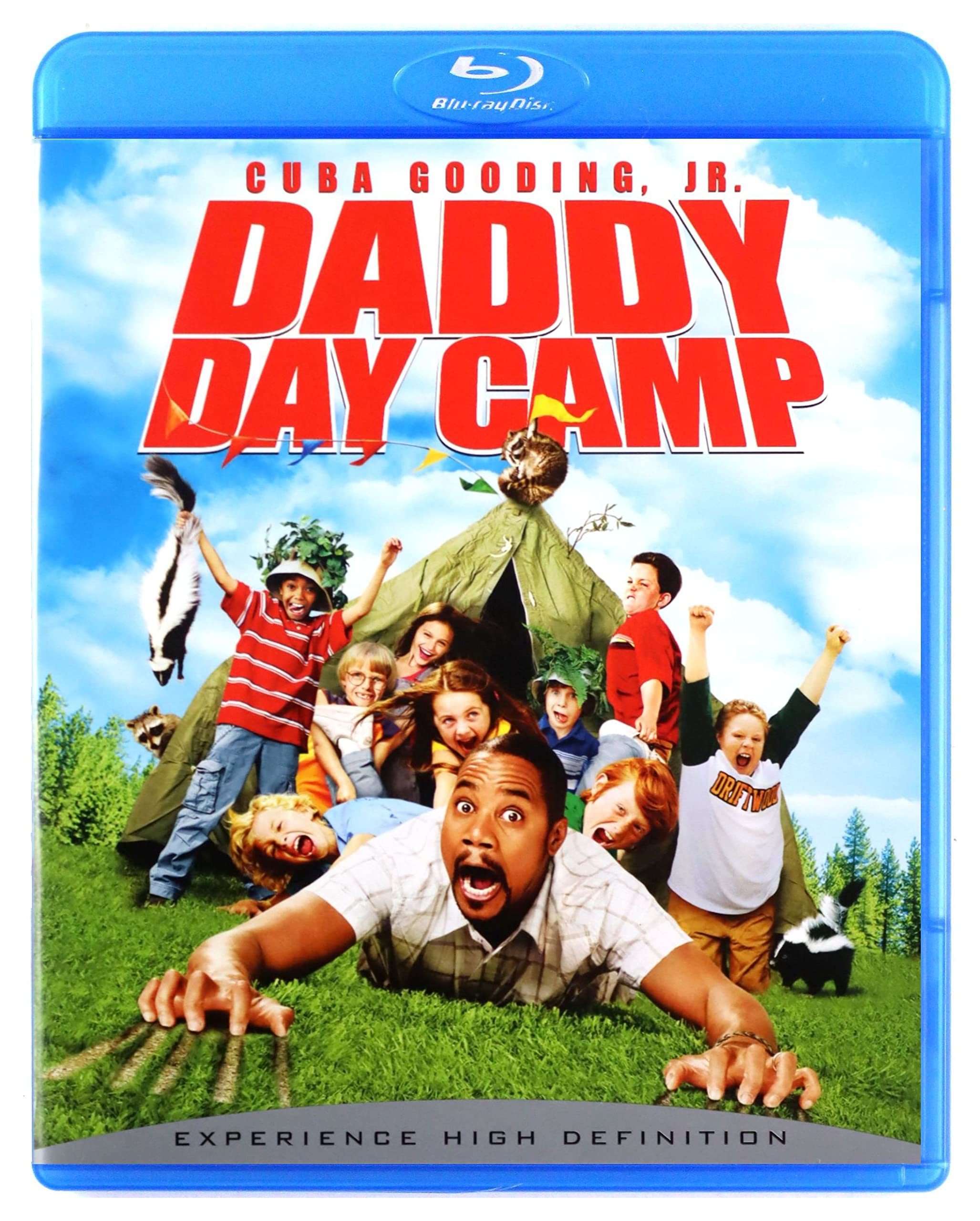Daddy Day Camp [Region 2] (English audio. English subtitles): Amazon.co ...