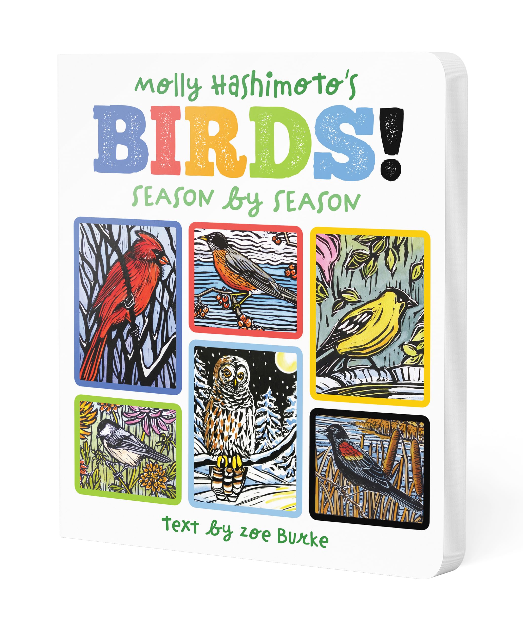Molly Hashimoto's Birds!: Season by Season: Molly Hashimoto ...