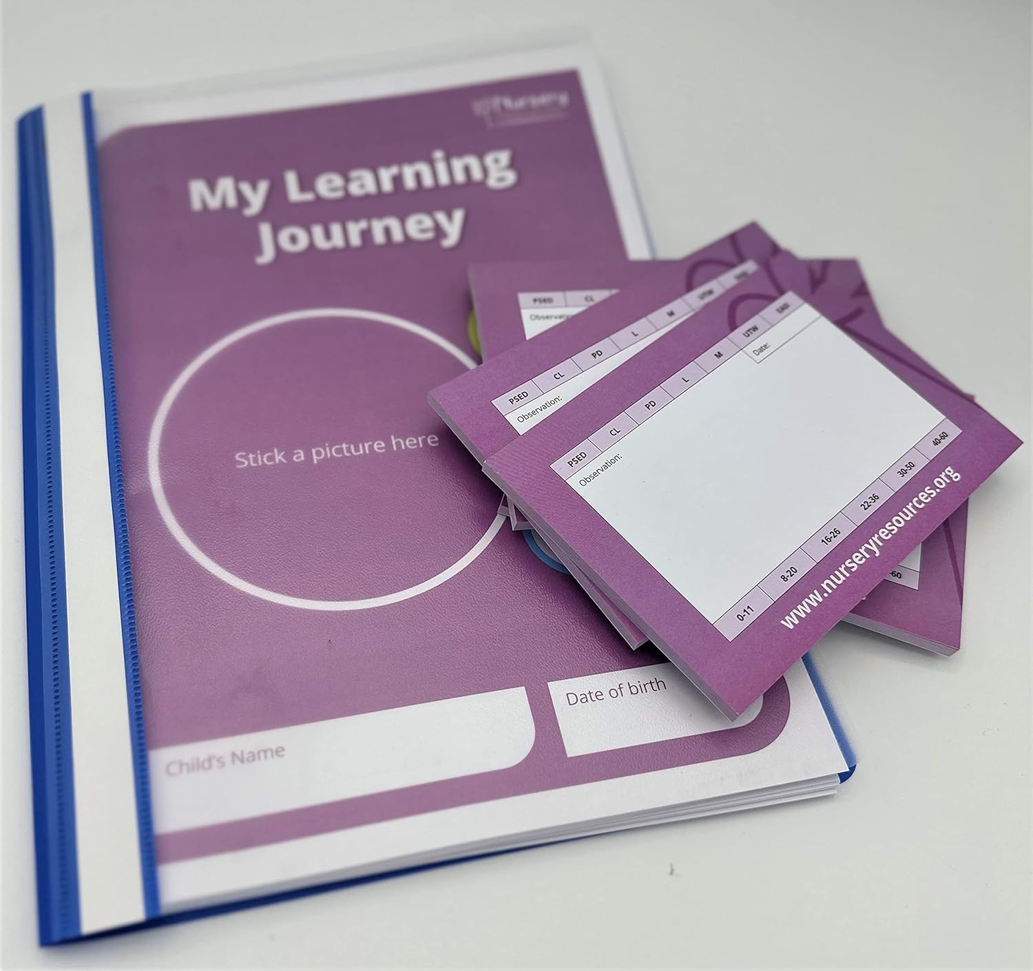 My Learning Journey, EYFS Tracker and Observation Sticky Notes : Amazon ...