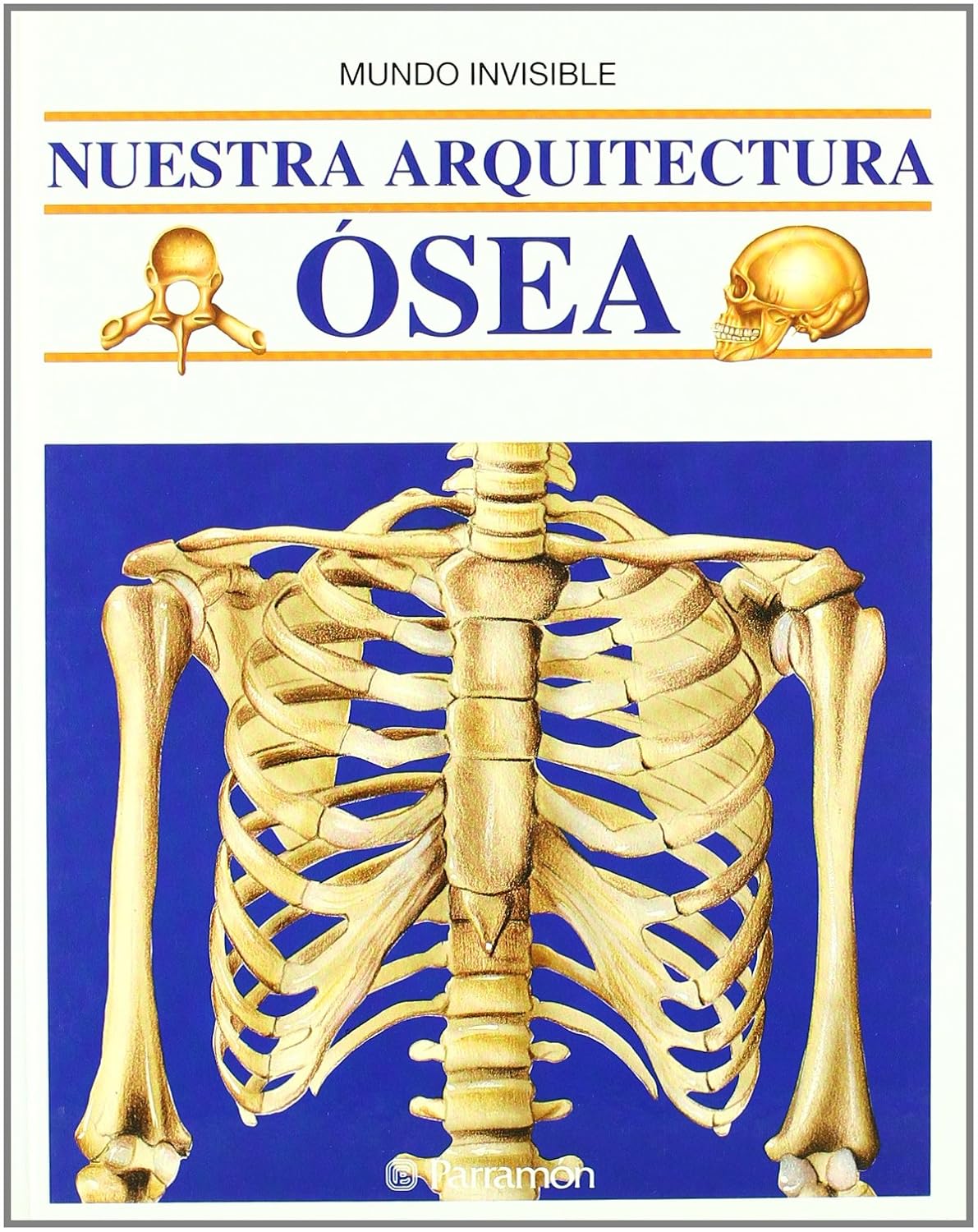 Amazon.com: Nuestra arquitectura osea/ Our skeletal architecture ...