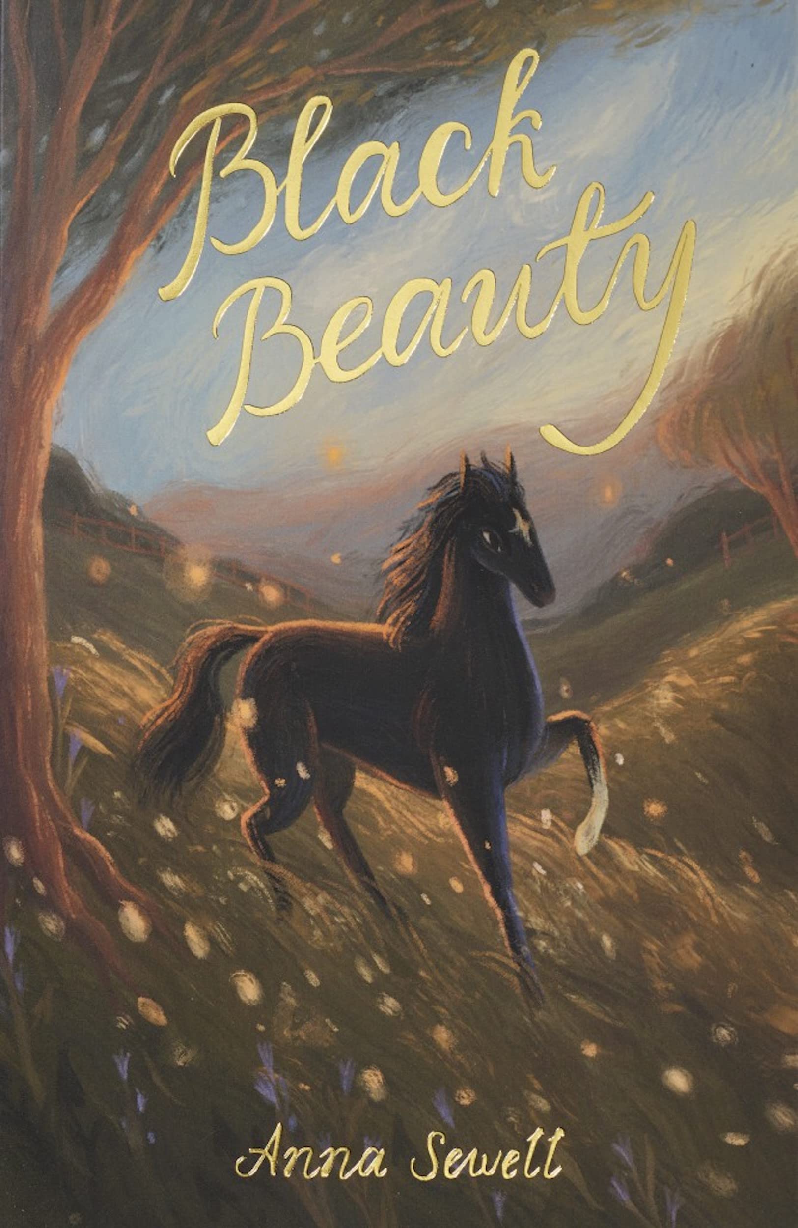 Black Beauty (Wordsworth Exclusive Collection) : Sewell, Anna: Amazon ...