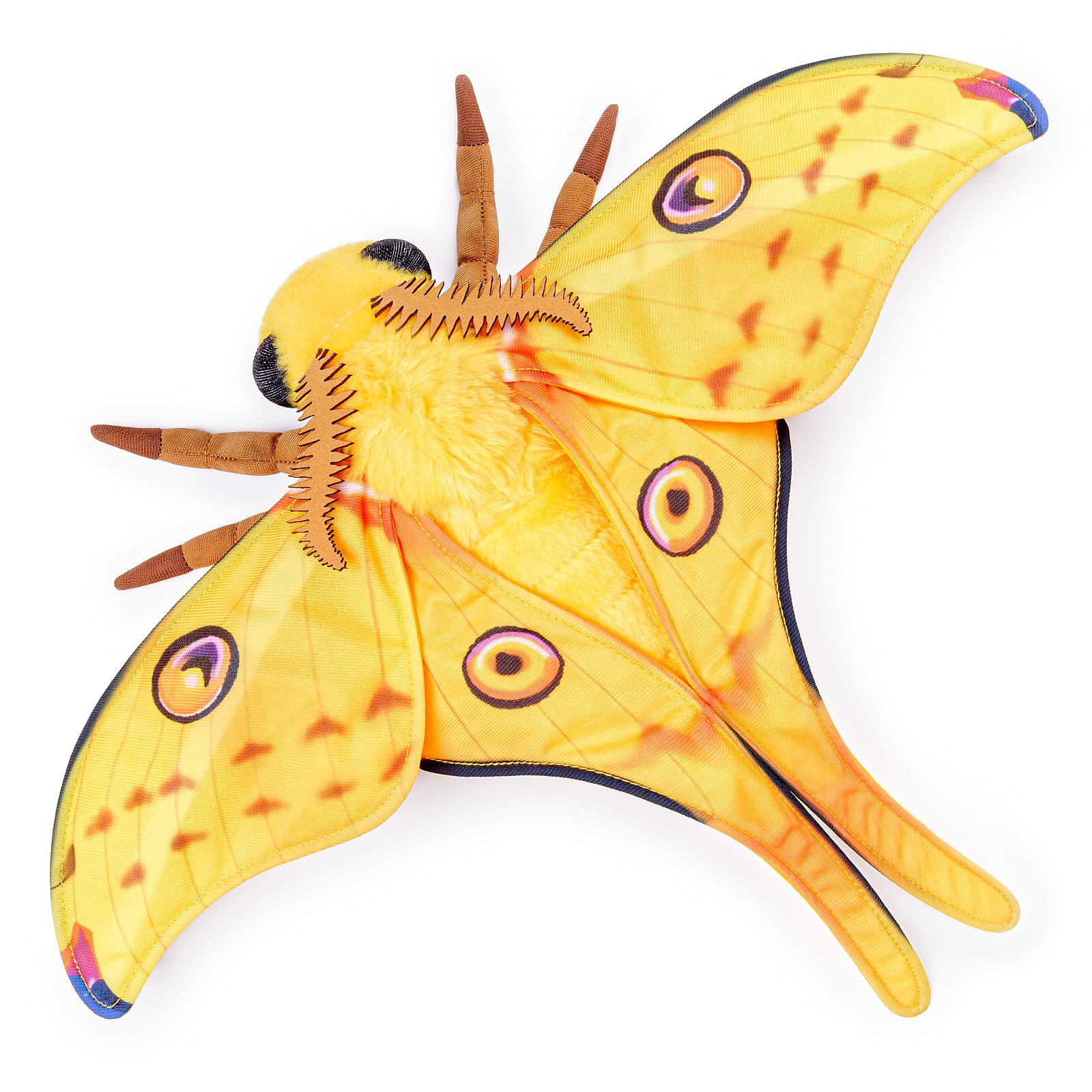 Amazon.com: FRANKIEZHOU Realistic Luna Moth Plush Animal - Yellow 9.8 ...