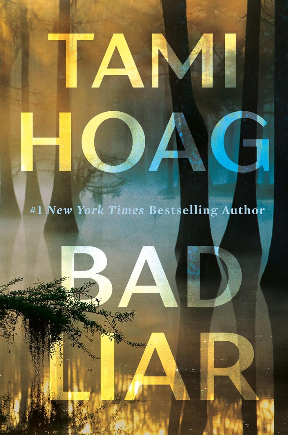 Amazon.com: Bad Liar: A Novel: 9781101985434: Hoag, Tami: Books