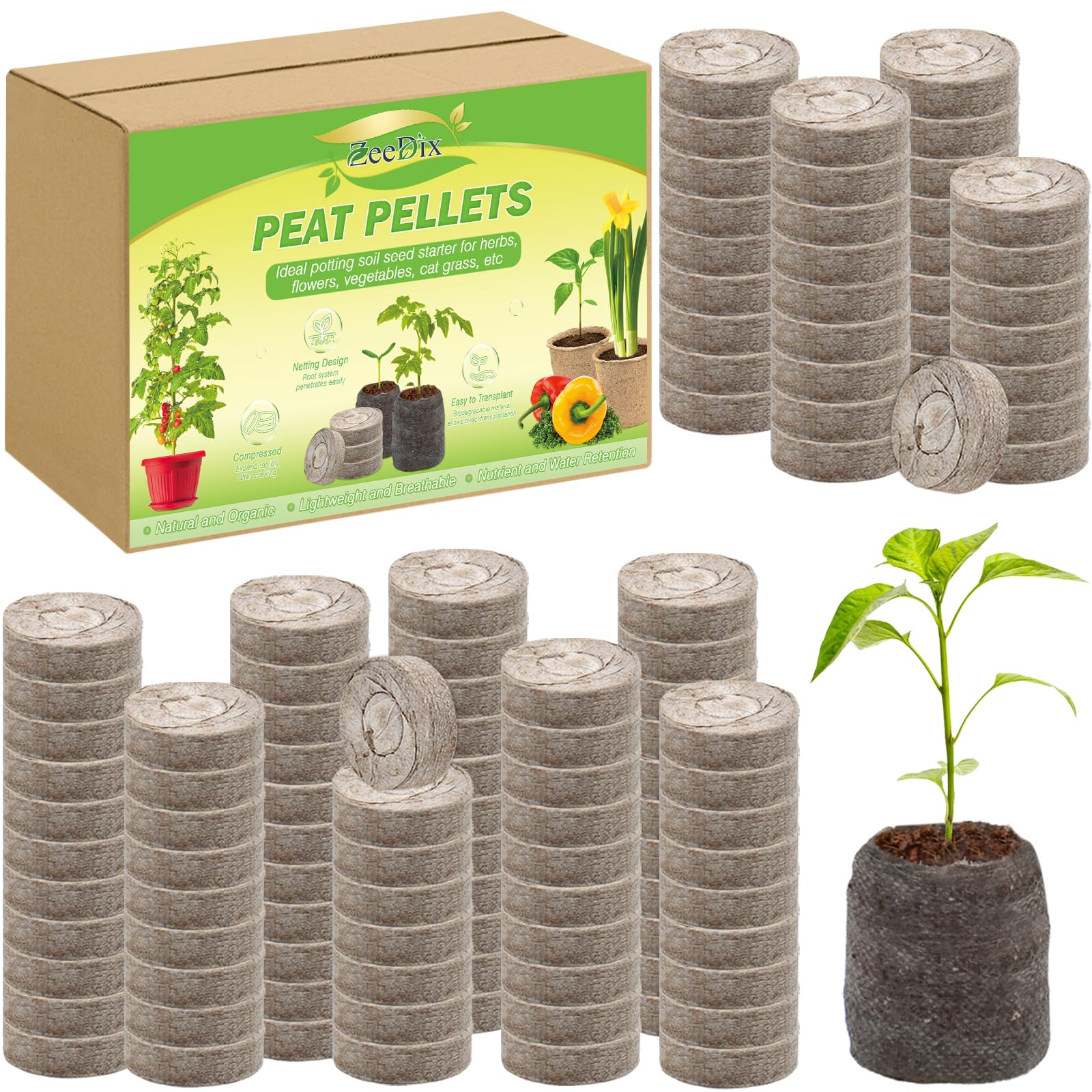Amazon.com : ZeeDix 200 Pcs (36mm) Peat Pellets for Seedlings ...