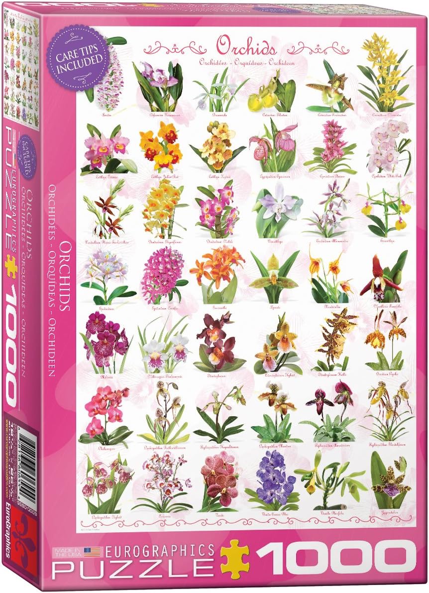 Amazon.com: EuroGraphics Orchids Jigsaw Puzzle (1000-Piece) : Toys & Games