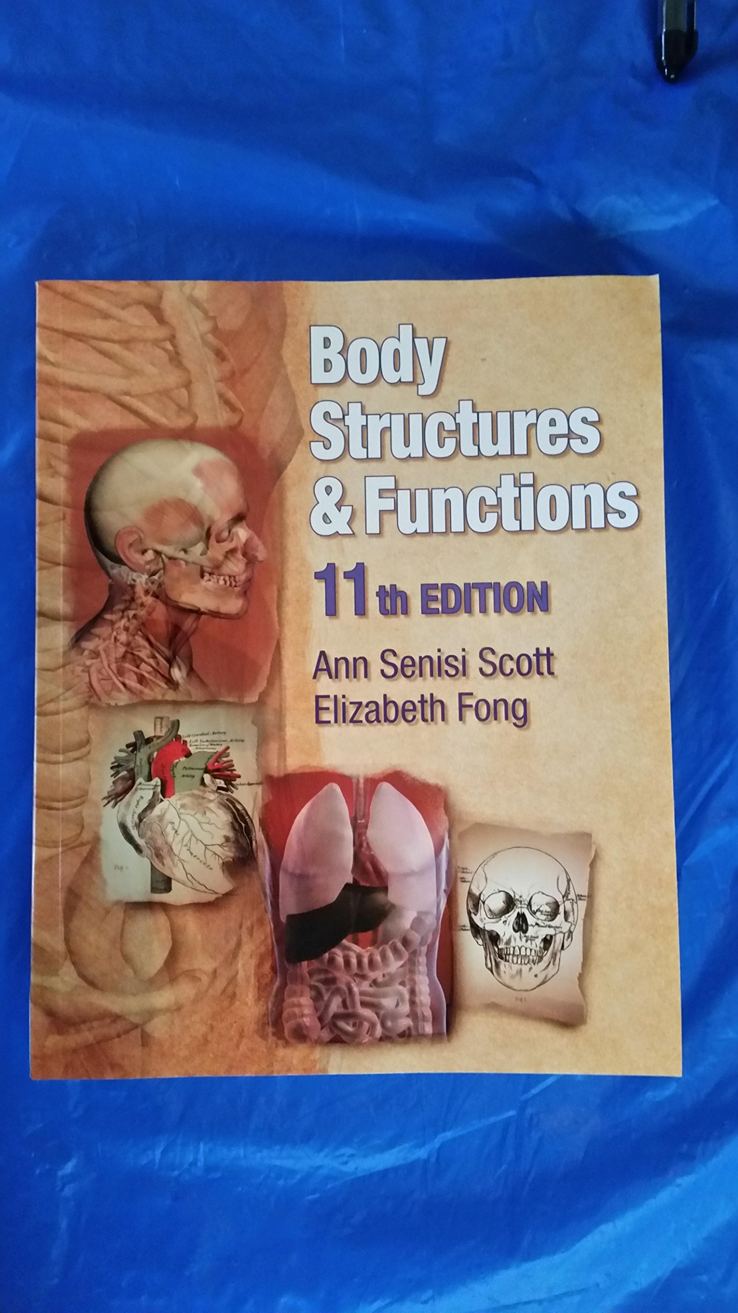Body Structures and Functions (Texas Science): 9781428304192: Medicine ...