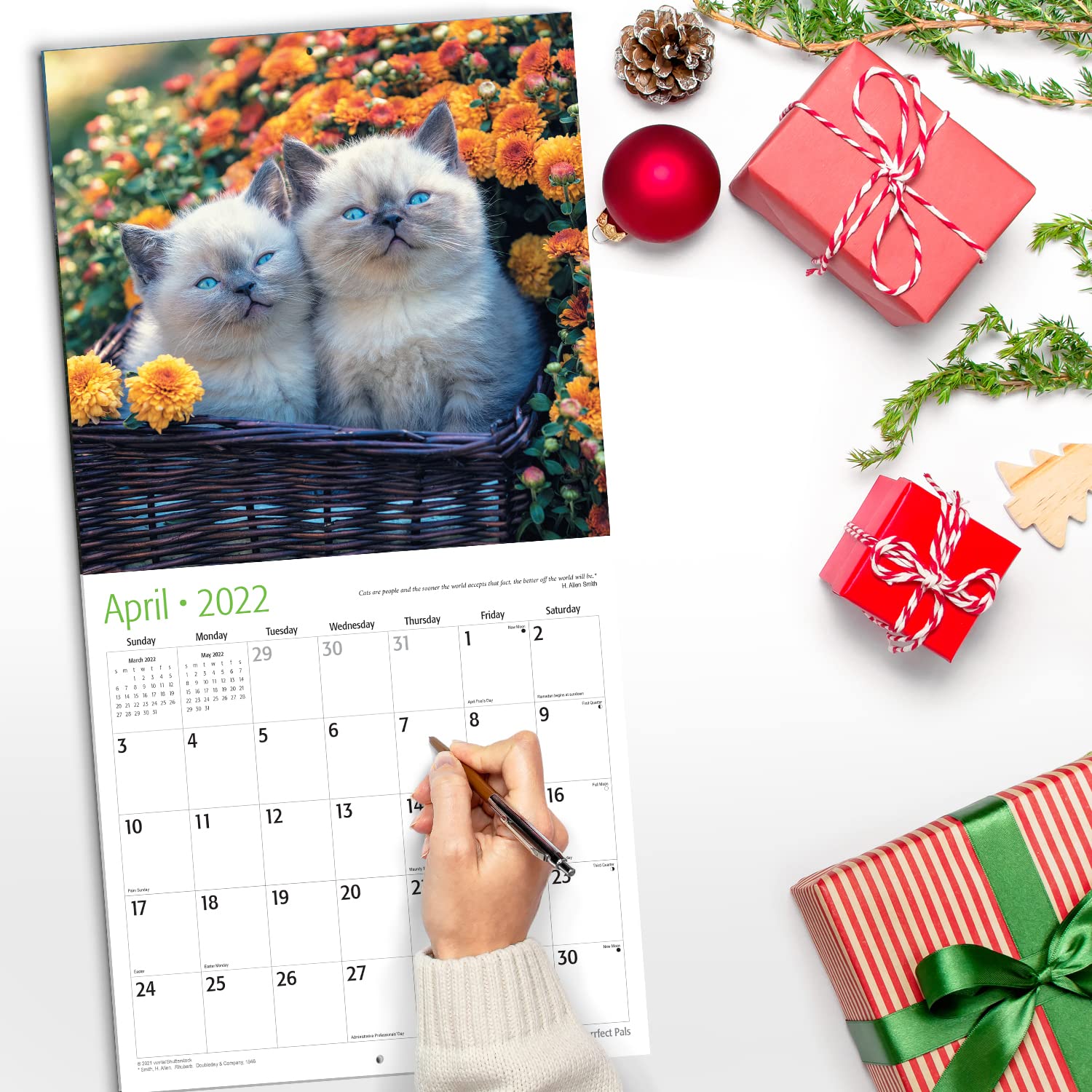 RED EMBER Purr-fect Pals Cats - 2022 Hangable Wall Calendars by Red ...