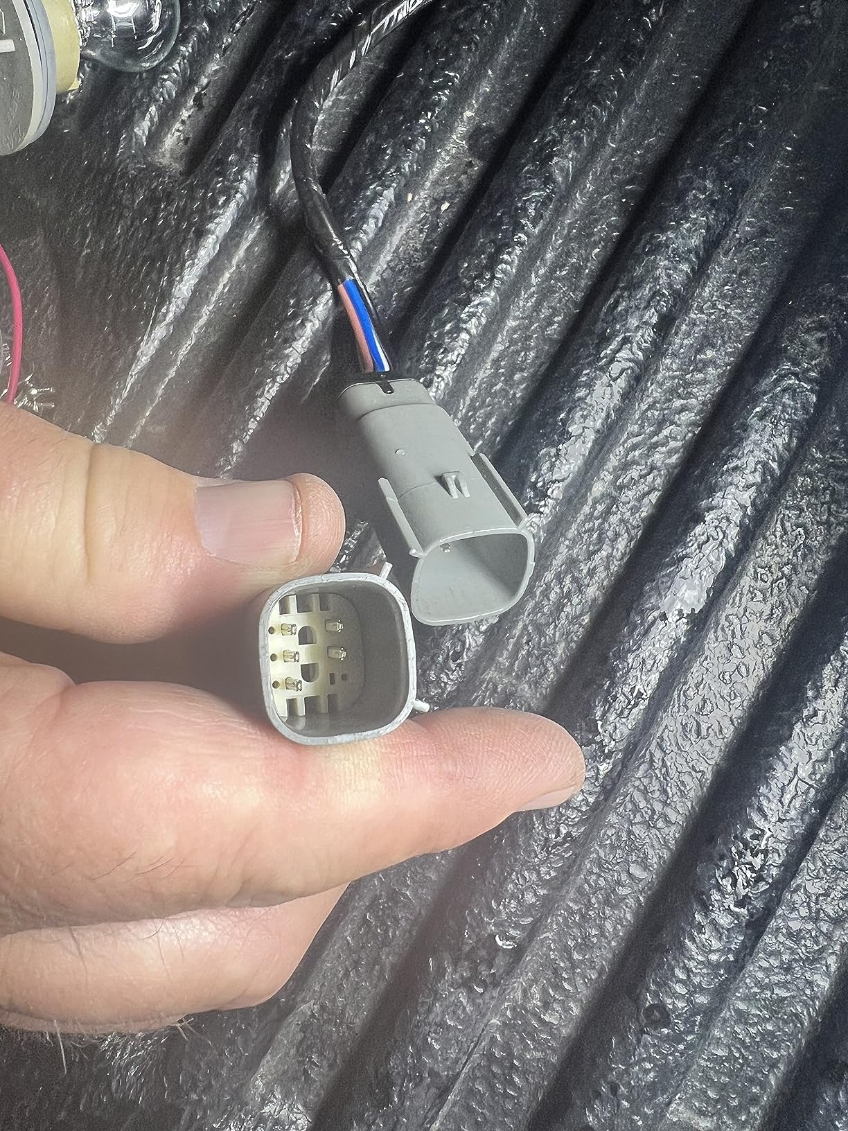 Amazon.com: Tail Light Rear Lamp Socket and Wiring Harness 2018-2020 ...