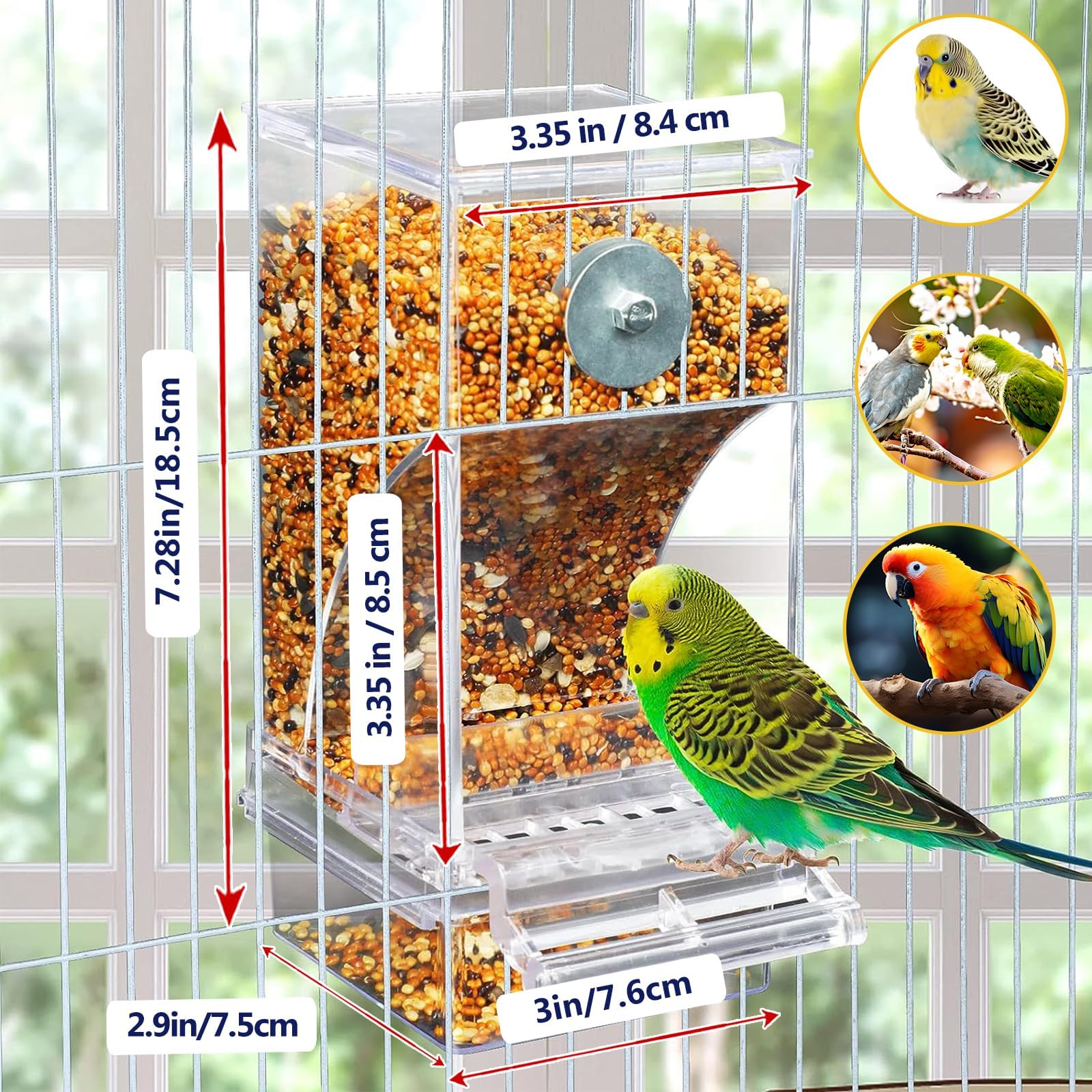Snapklik.com : No Mess Bird Feeders Automatic Transparent Acrylic Food ...