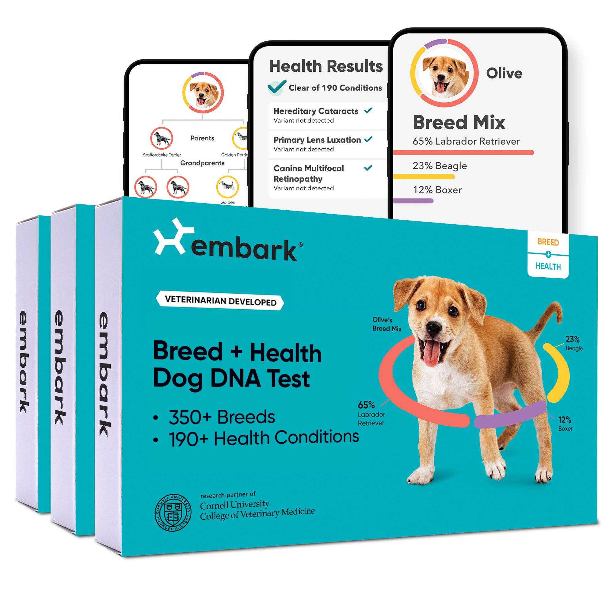 How Long Do Dog Dna Tests Take