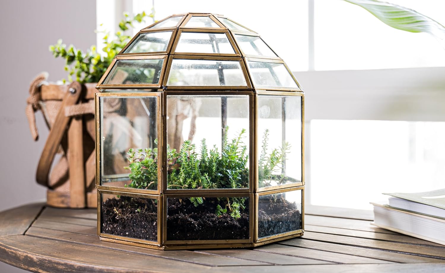 Urban Born Handmade Birdcage Large Glass Terrarium — 10" x 9" x 9 ...