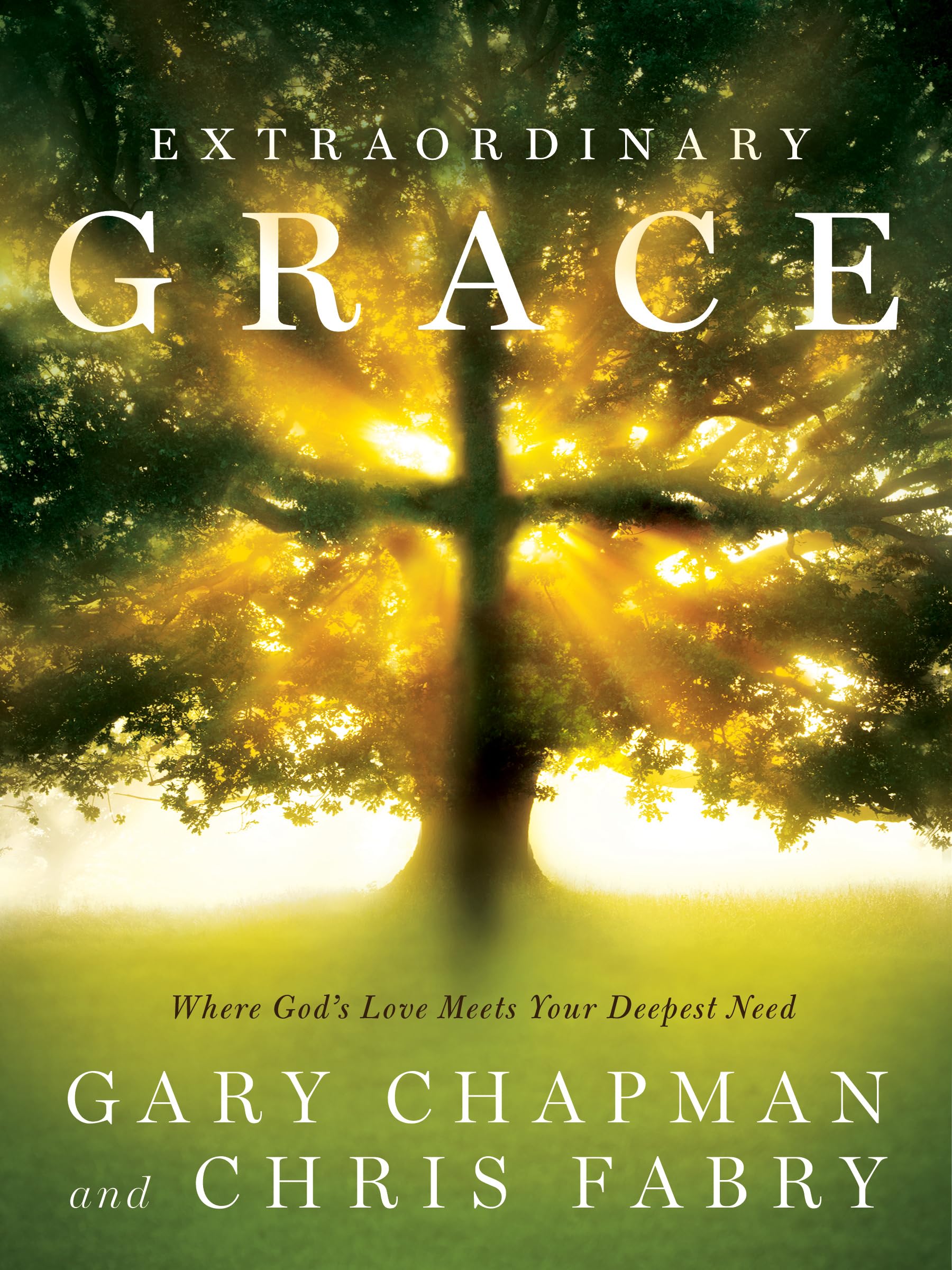 Extraordinary Grace: How the Unlikely Lineage of Jesus Reveals God's ...
