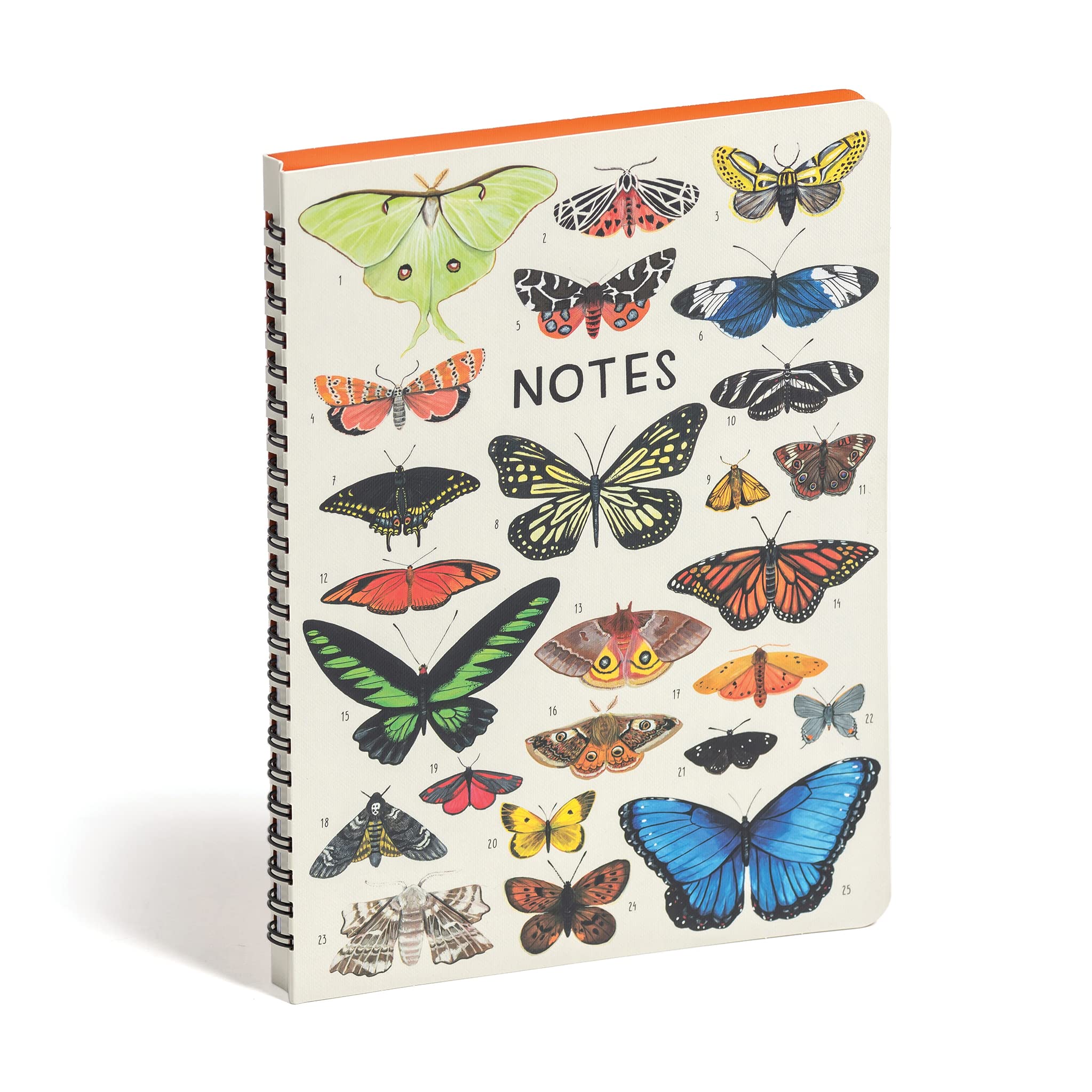 Amazon.com : High Note Personal Planning Notebook, Non-Dated Planner ...