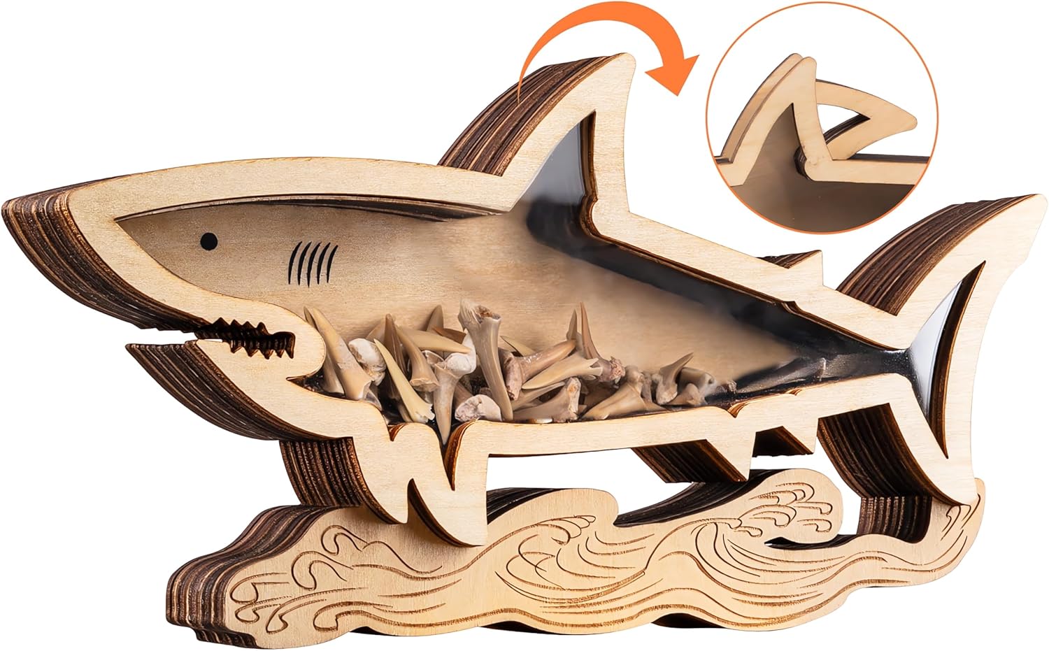 Amazon.com - Shark Tooth Display Case 8.7 Inch,Wooden Shark Tooth ...