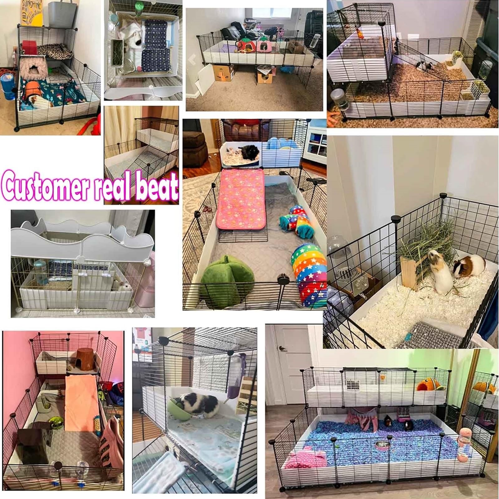 Rabbit Run Guinea Pig Cages 8 Sq Ft Expandable C&C Cage Habitats For 2 ...