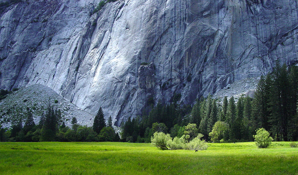 guess who - App on Amazon Appstore