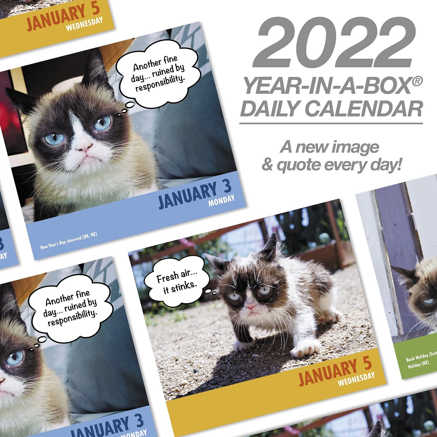 Grumpy Cat Monday Quotes