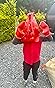 Amazon.com: Voyiparty Lobster mask Shrimp Costume Crab Costumes Lobster ...