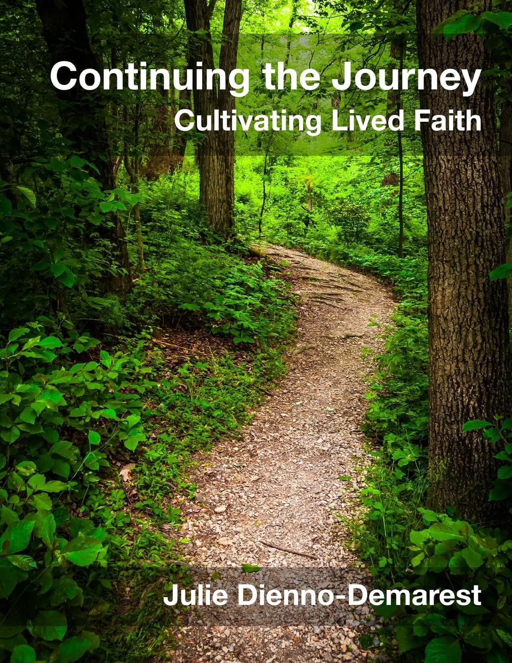 Continuing the Journey: Cultivating Lived Faith: Dienno-Demarest, Julie ...