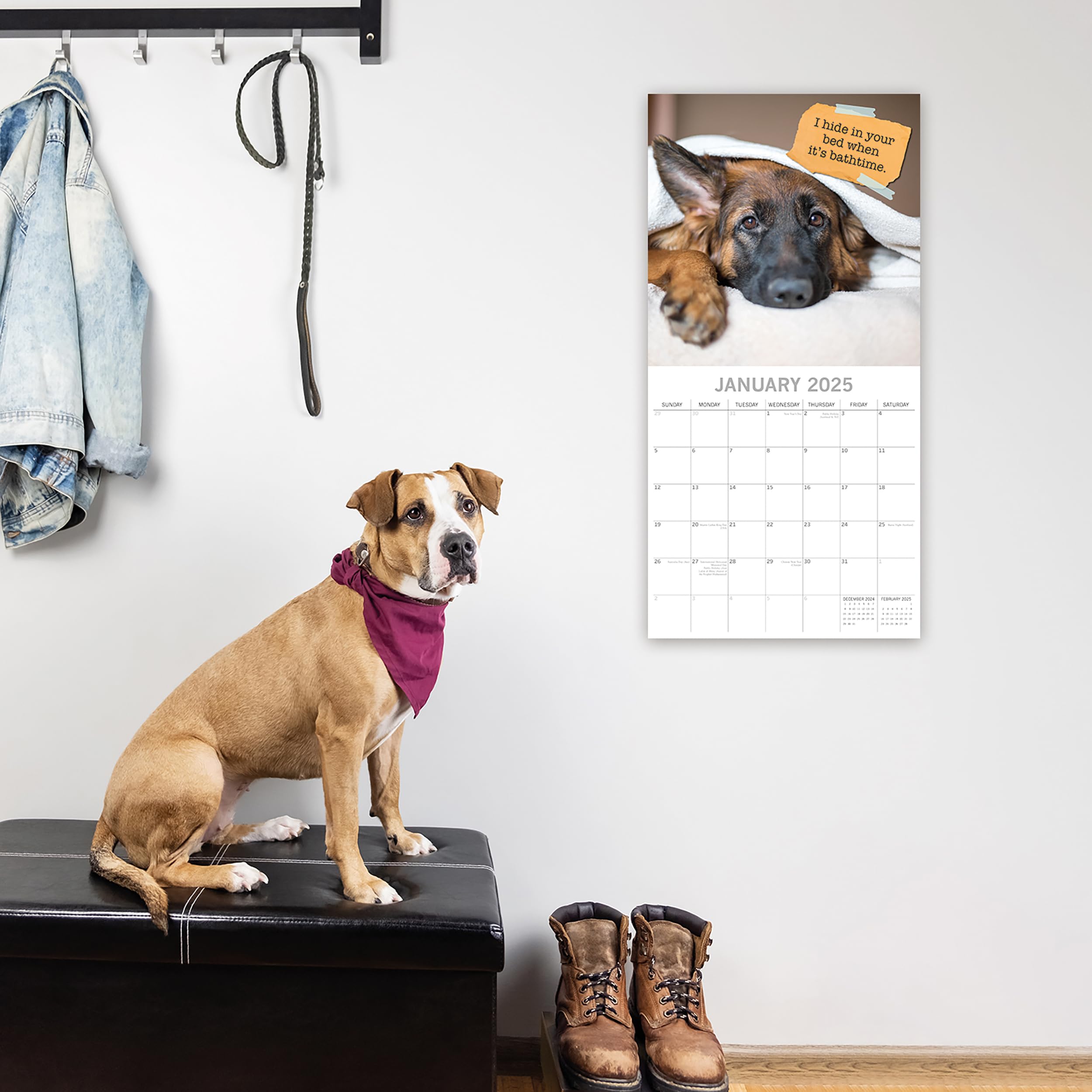 Dog Shaming Calendar 2025