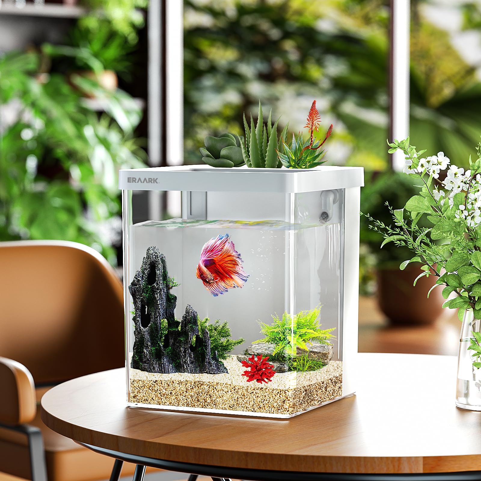 Betta Fish Tanks With Filter