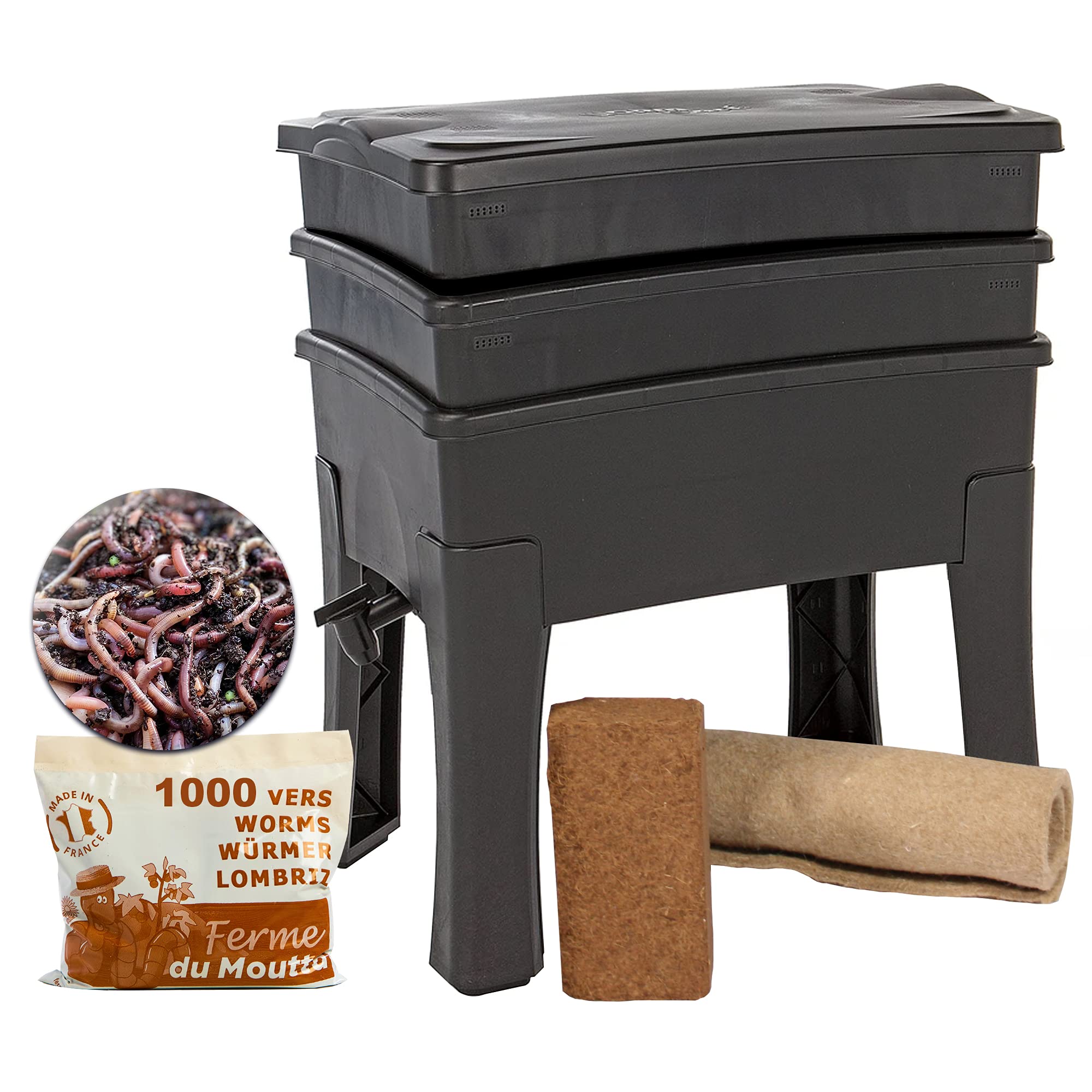 Buy Moutta | Worm Coffee, Worm Com 2 Trays I 500g Compost Worms I ...