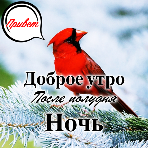 Russian Good Morning Afternoon & Good Night Wishes - App on Amazon Appstore