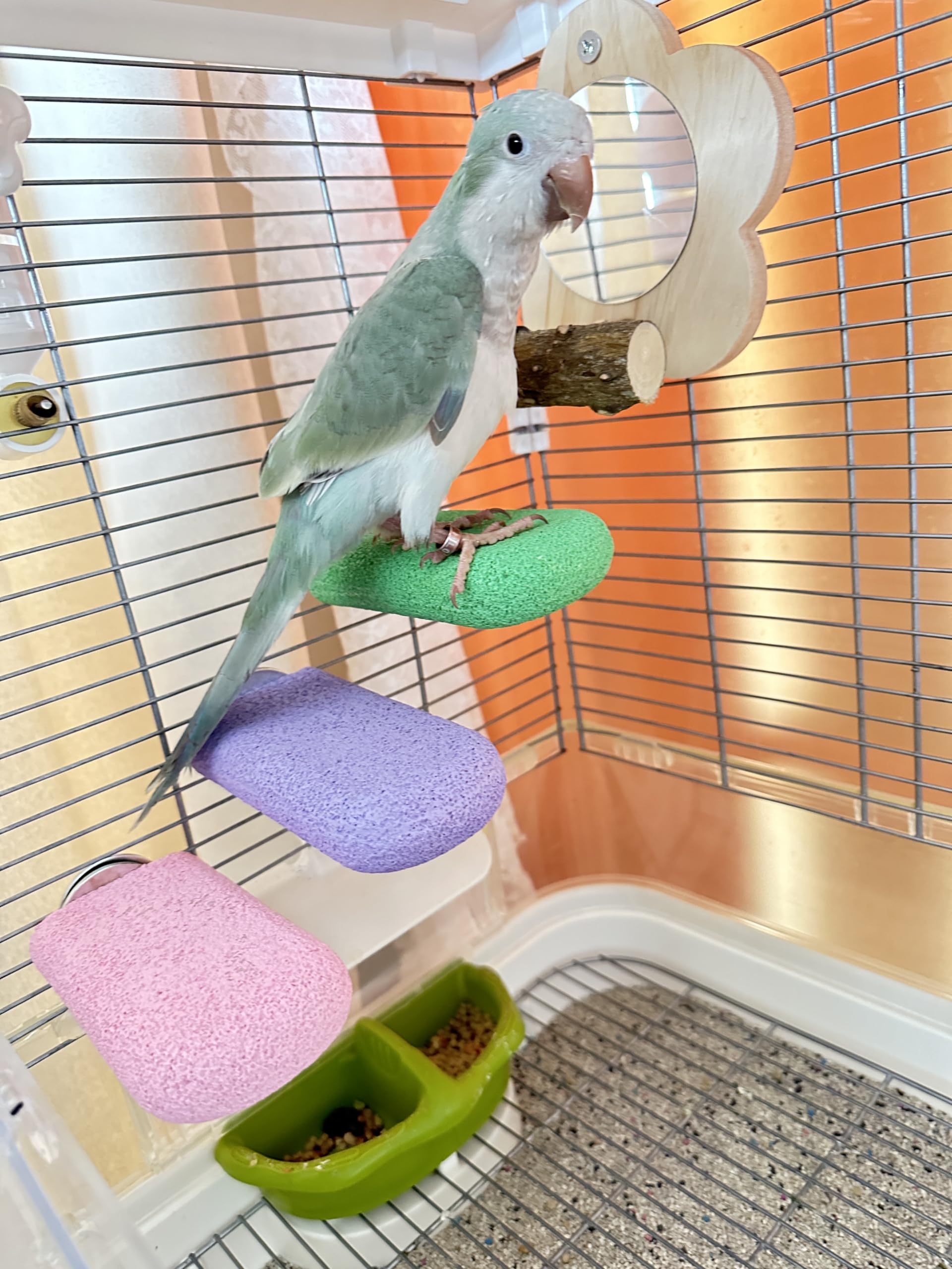 Amazon.com : 3 Pcs Bird Perches for Cage, Parrot Stand Toy Platform Paw ...