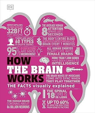 How the Brain Works: The Facts Visually Explained (DK How Stuff Works ...