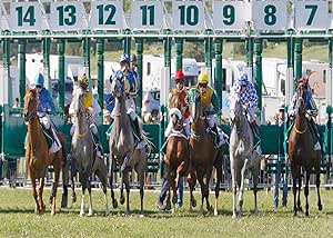 Amazon.com: BELECO 5x3ft Fabric Kentucky Derby Party Backdrop Horse ...