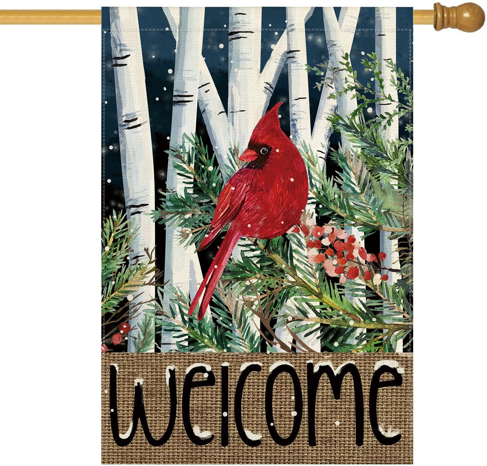 Amazon.com : Baccessor Christmas Welcome Cardinal House Flag 28 x 40 ...