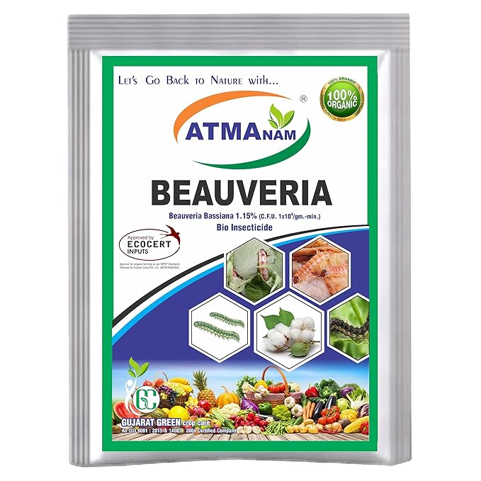 Atmanam Beauveria Bassiana (1x10^8 CFU/g) Bio Insecticide (900 g) for ...
