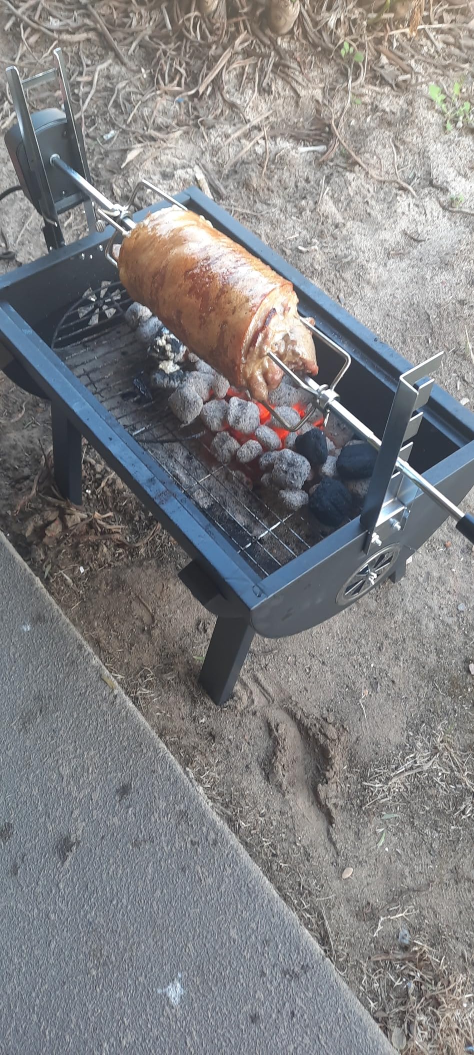 WILLBOND 6 Pieces Roasting Trussing Needles Butchers Meat Trussing ...