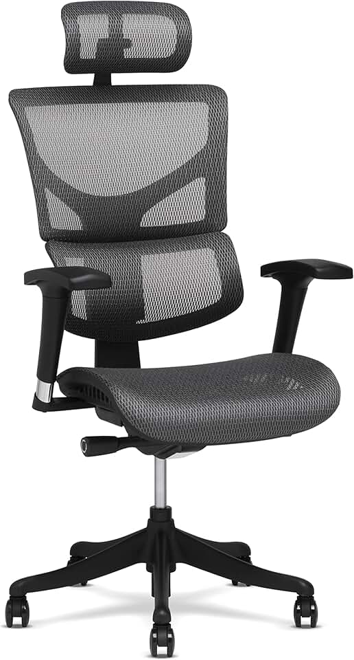 Amazon.com: X-chair