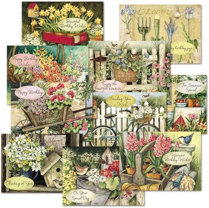 Susan Winget Birthday Greeting Cards Value Pack - Set of 20 (10 designs ...