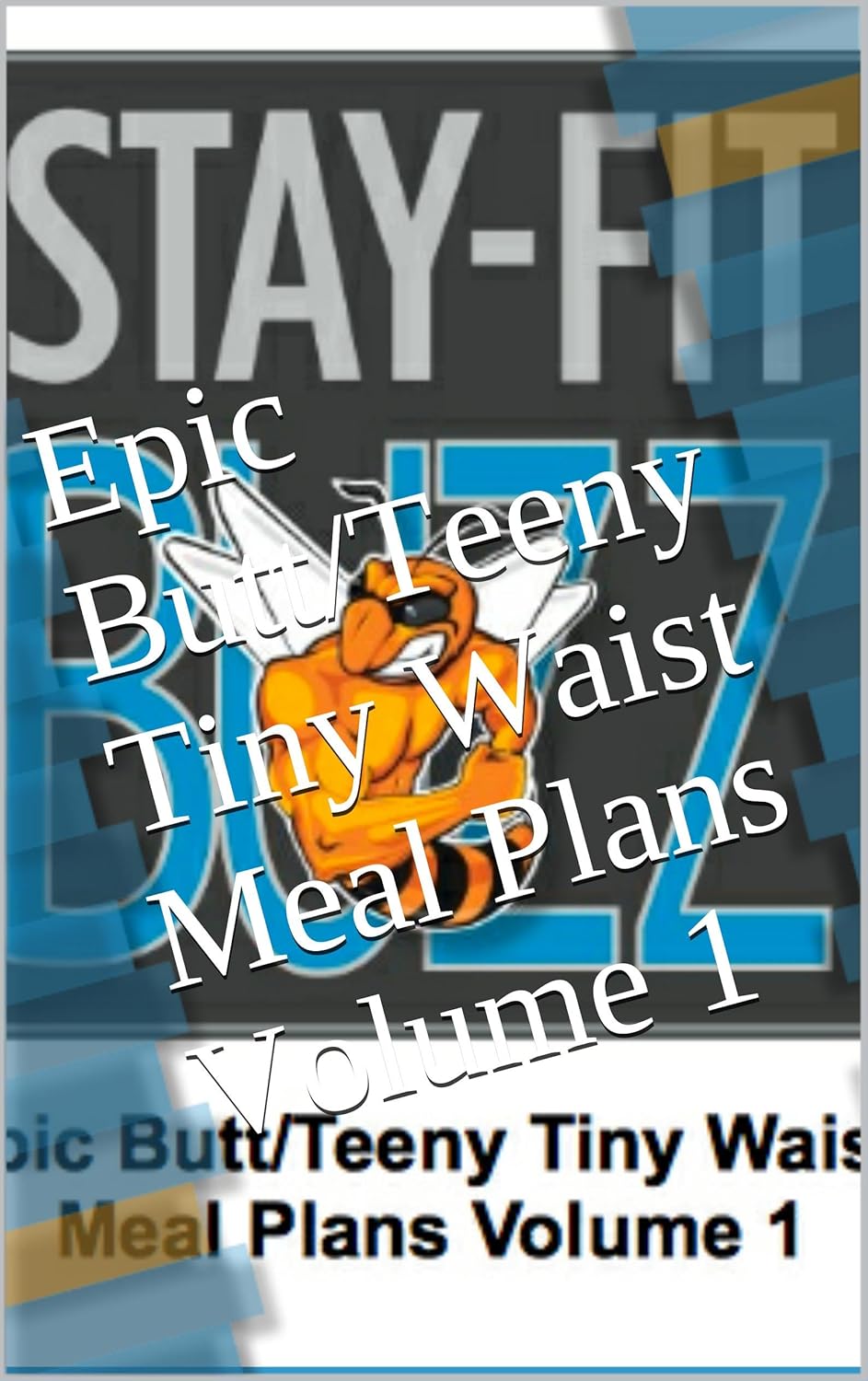 Epic Butt/Teeny Tiny Waist Meal Plans Volume 1 eBook : SINCLAIR, SHAUN ...