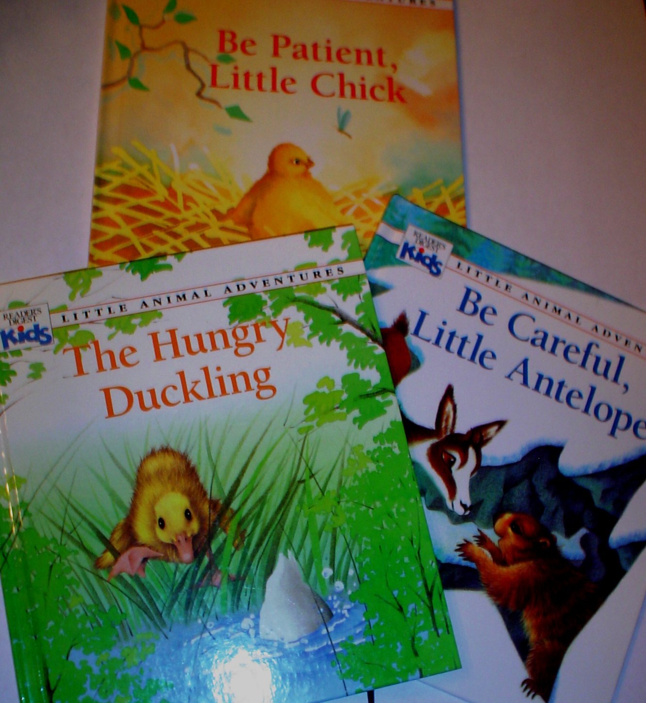 Be Patient, Little Chick: 2001: Patricia Jensen: Amazon.com: Books