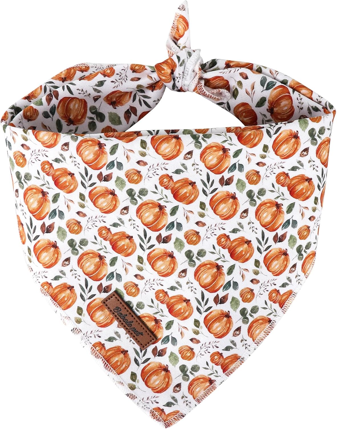 Amazon.com : Babole Pet Fall Dog Bandanas Girl Boy Thanksgiving Pumpkin ...