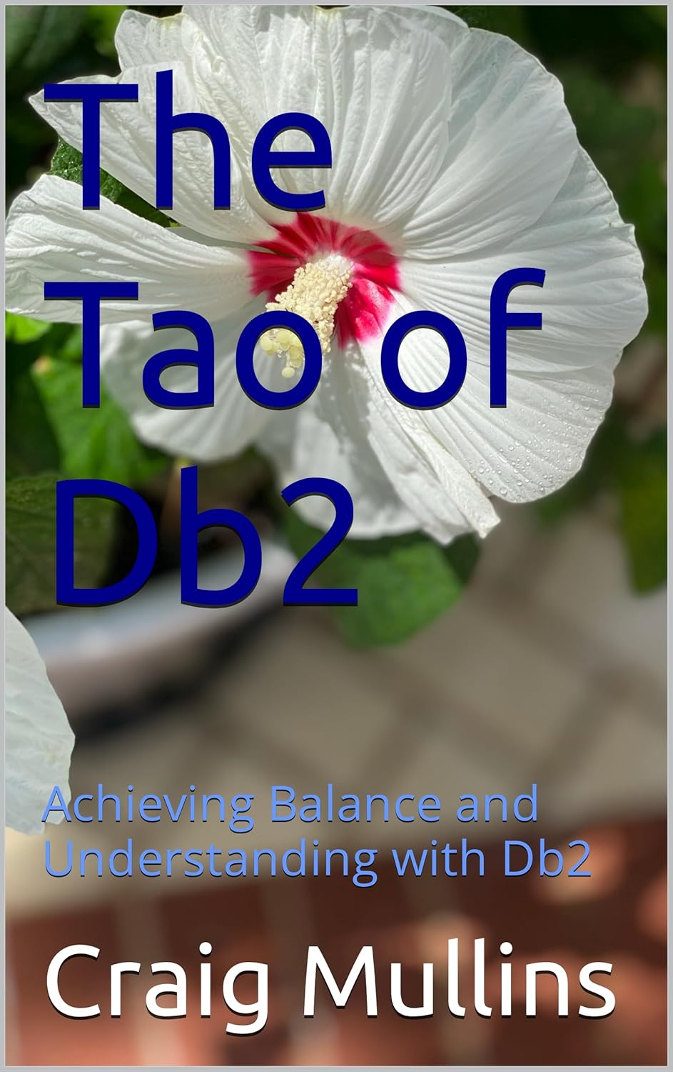 Amazon.com: The Tao of Db2: Achieving Balance and Understanding with ...