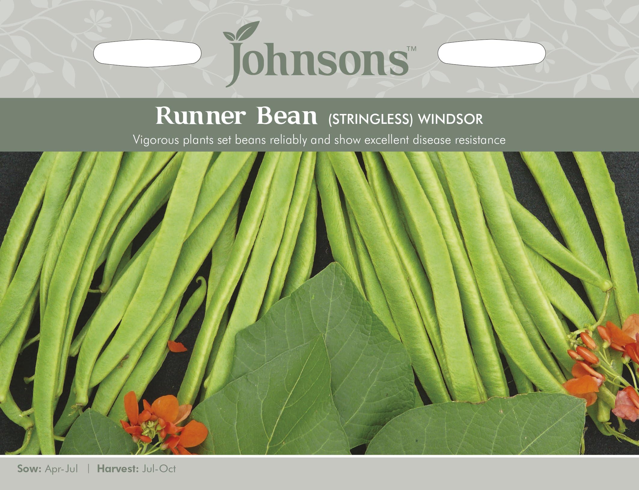 Johnsons 24339 Vegetable Seeds, Runner Bean Lady Di (Stringless ...