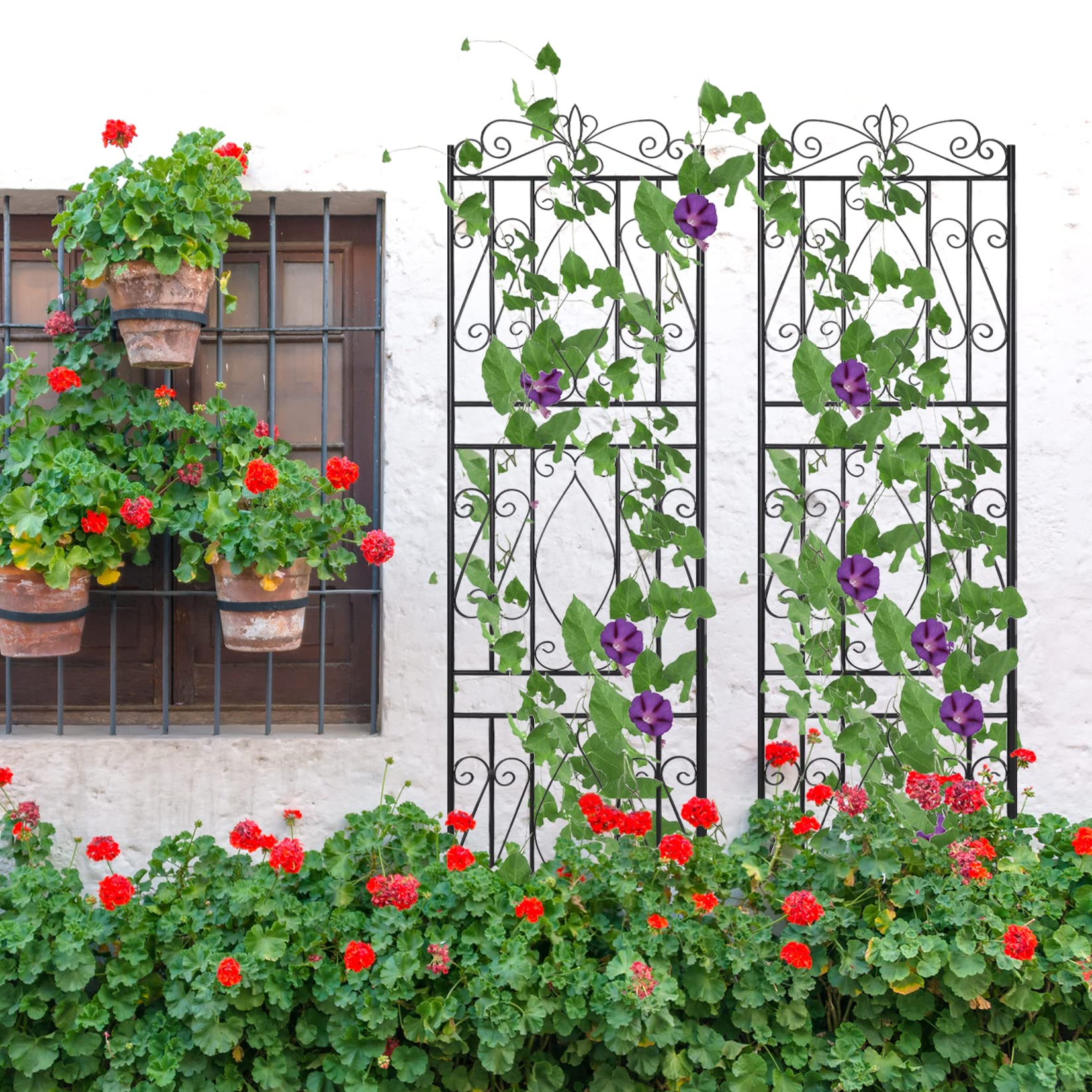 Trellis With Flowers 35 Trellis Ideas For A Stunning, Supported Garden