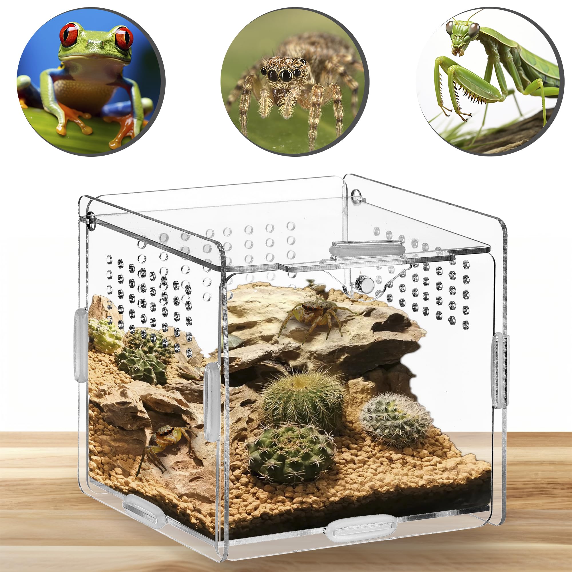 Snapklik.com : VERTUPET 2 Pack Jumping Spider Enclosure, 4x4x4 Acrylic ...