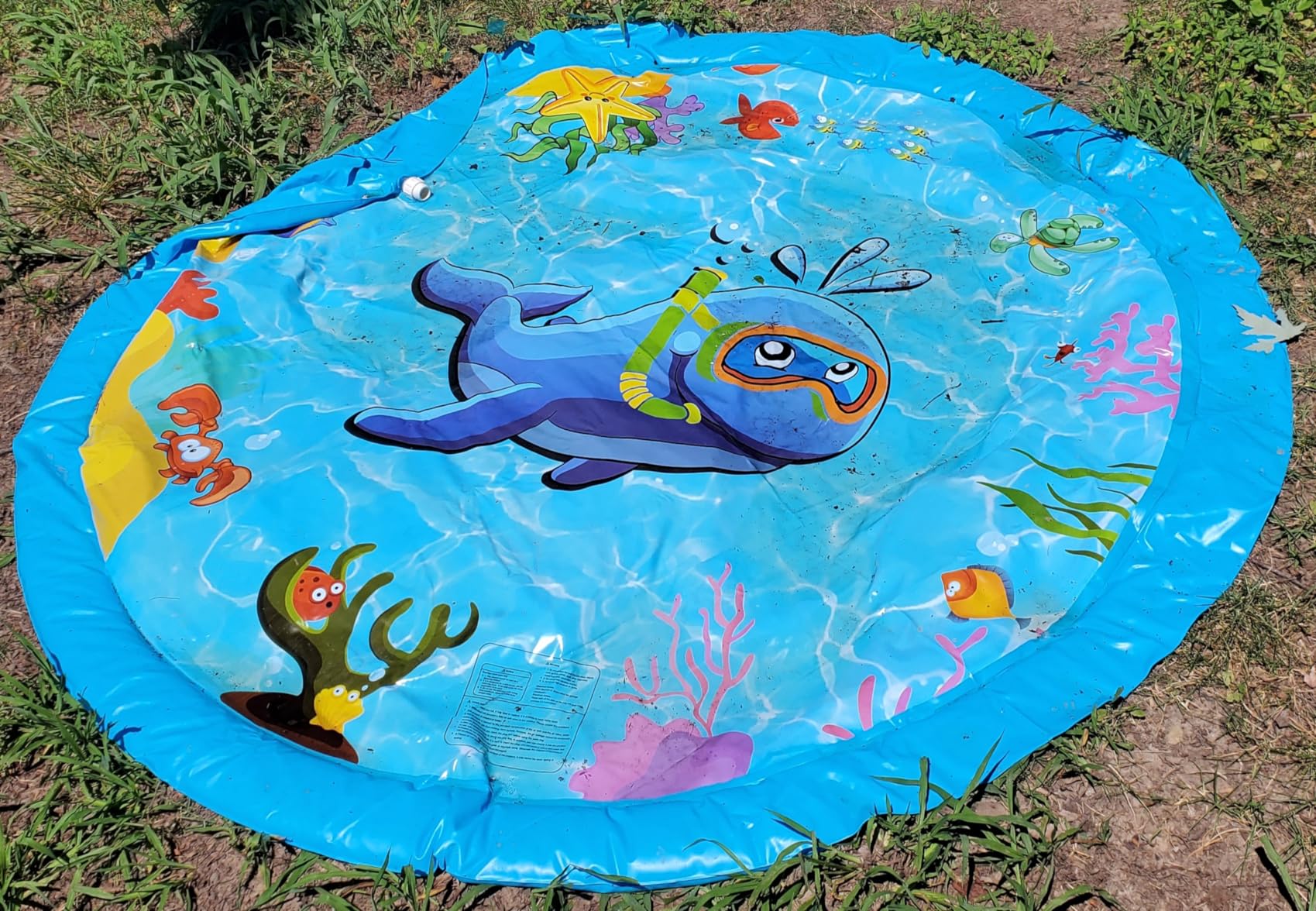 Amazon.com: 67" Large Splash Pad for Kids and Dogs, Non-Toxic PVC ...