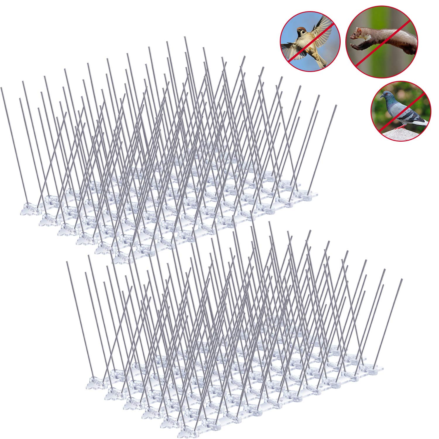 Anti Bird Spikes