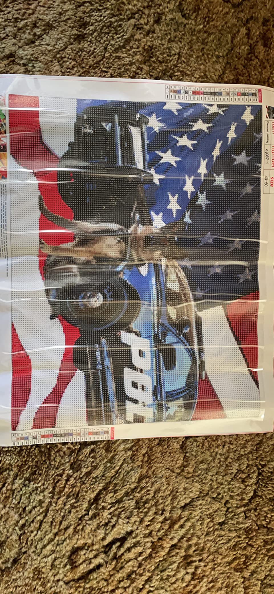 Amazon.com: DEESAYG 5d Diamond Painting Kits for Adults Police Dog and ...