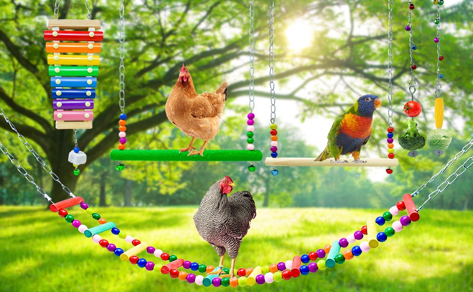 Watch 6 Packs Chicken Toys Bird Toys, Chicken Toys for Coop on Amazon Live