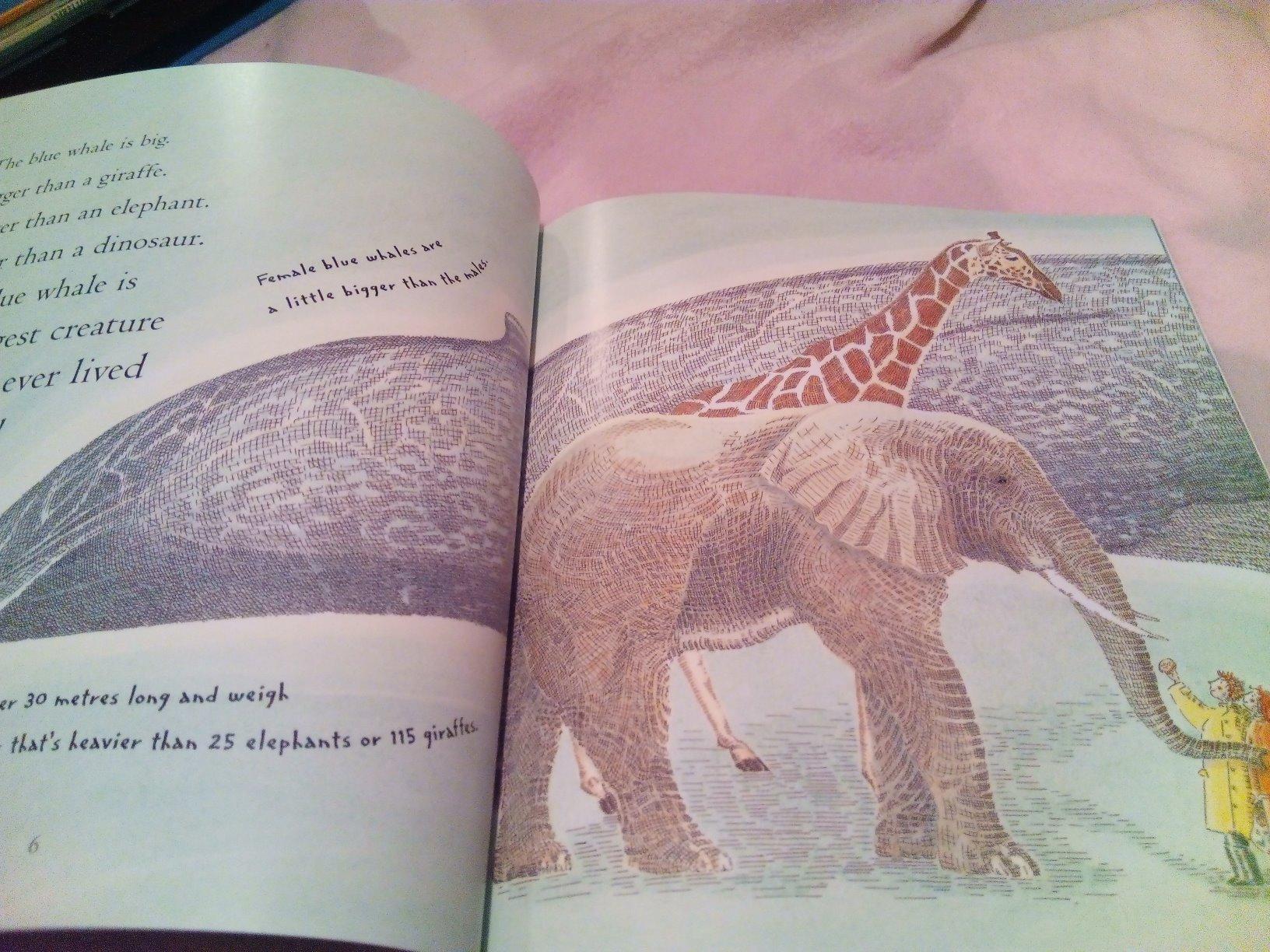 Big Blue Whale (Nature Storybooks): Amazon.co.uk: Davies, Nicola ...