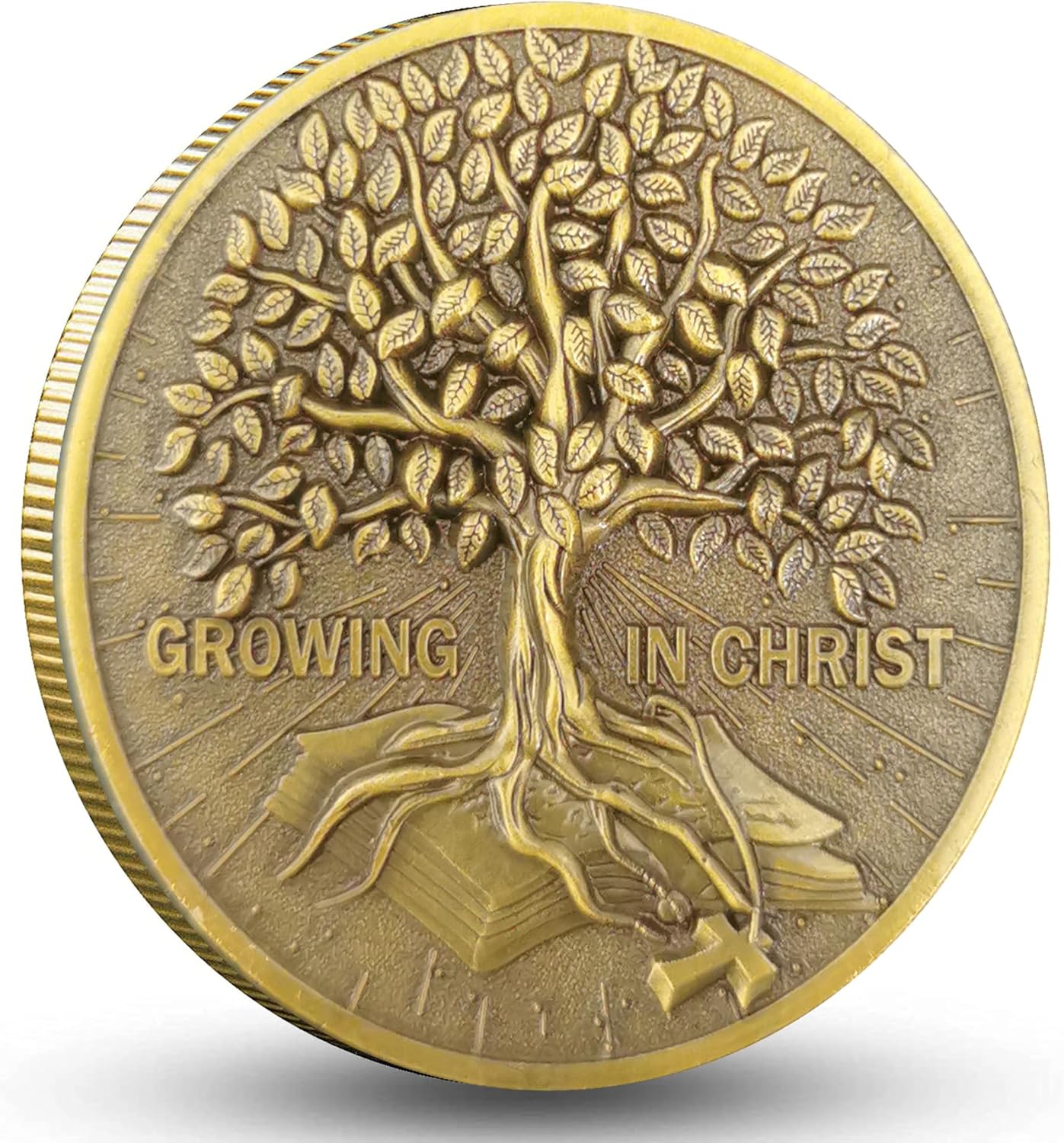 Amazon.com: Growing in Christ Challenge Coin Christian Daily Reminder ...