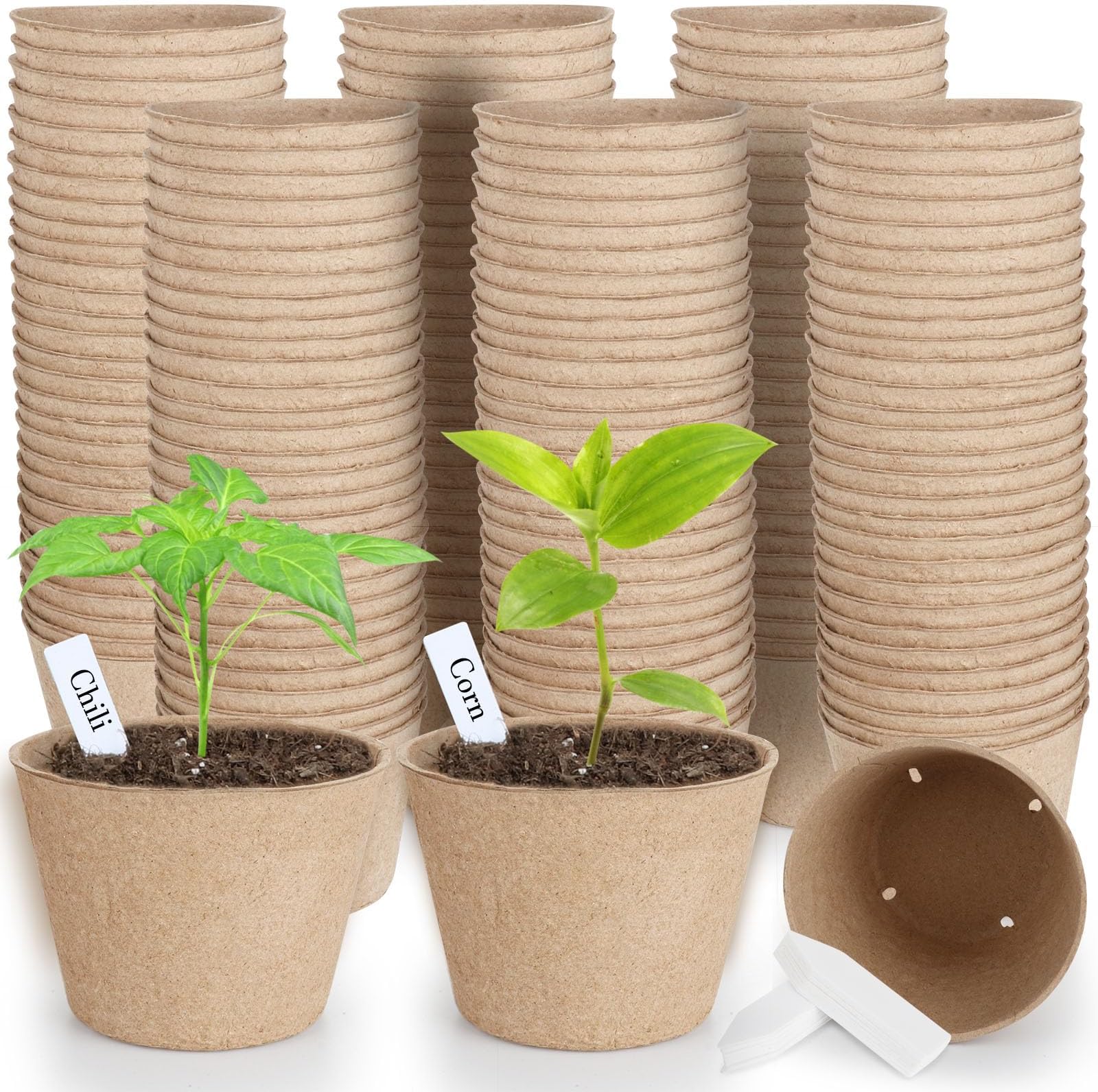 Amazon.com: ARGCONNER 4 Inch Peat Pots, 50PCS Biodegradable Plant ...