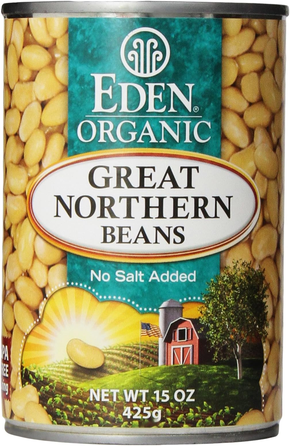 Amazon.com : Eden Organic Pinto Beans, 16-Ounce Boxes (Pack of 6 ...